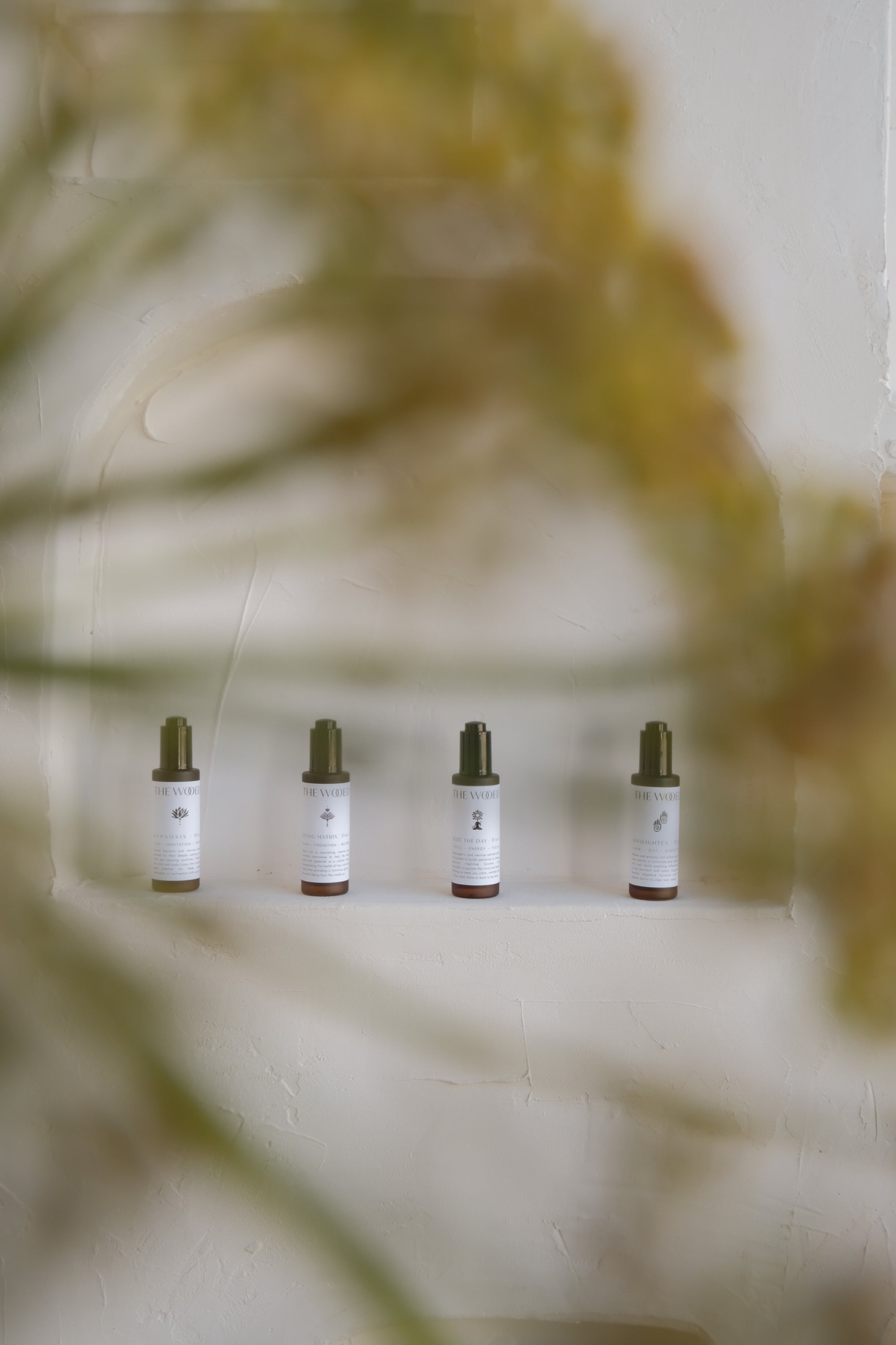 The Wooed – THE WOOED